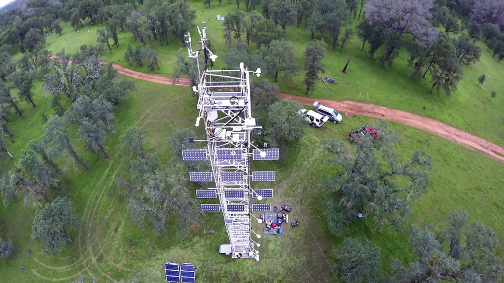 Tonzi tower - AmeriFlux